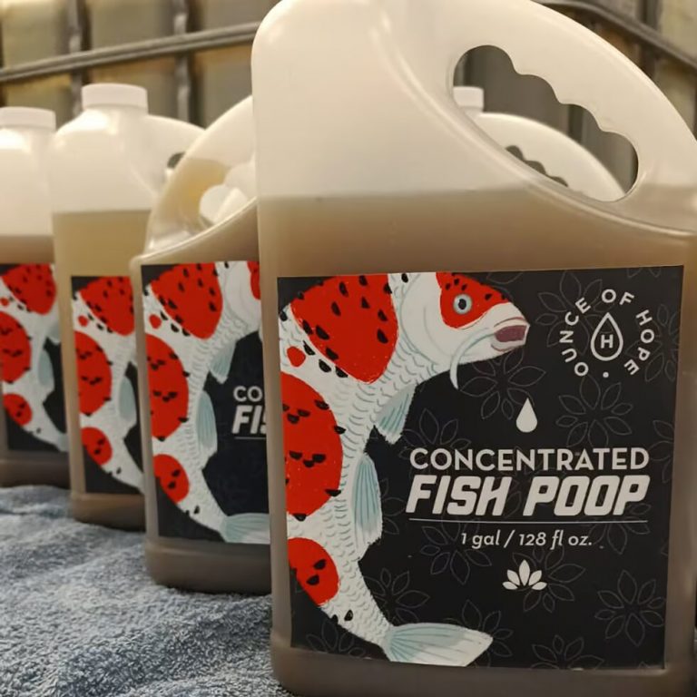 How Fish Poop Helps Plants Grow Efficiently - Slyng